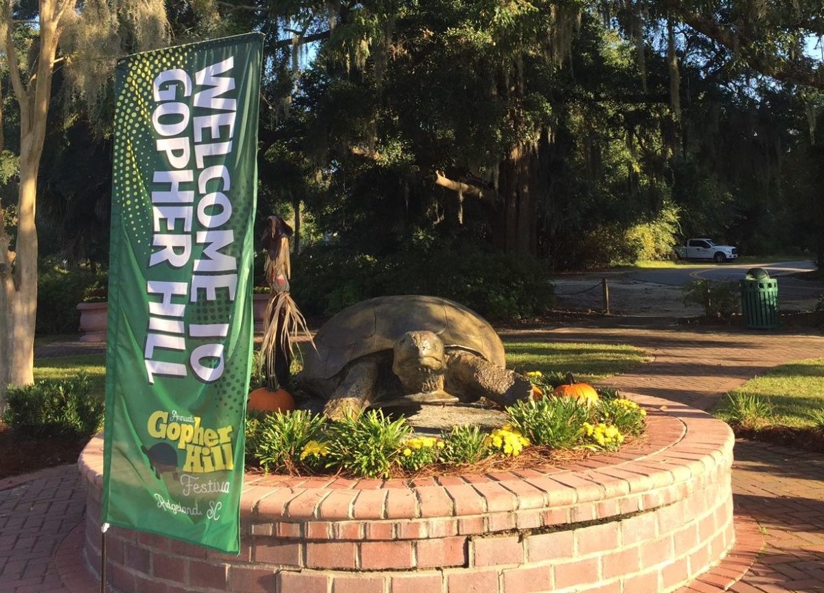 Family-Friendly Things to Do in Jasper County, South Carolina